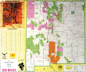 NEW MEXICO - Social Studies