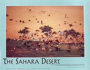 AFRICA POSTER SET - Social Studies